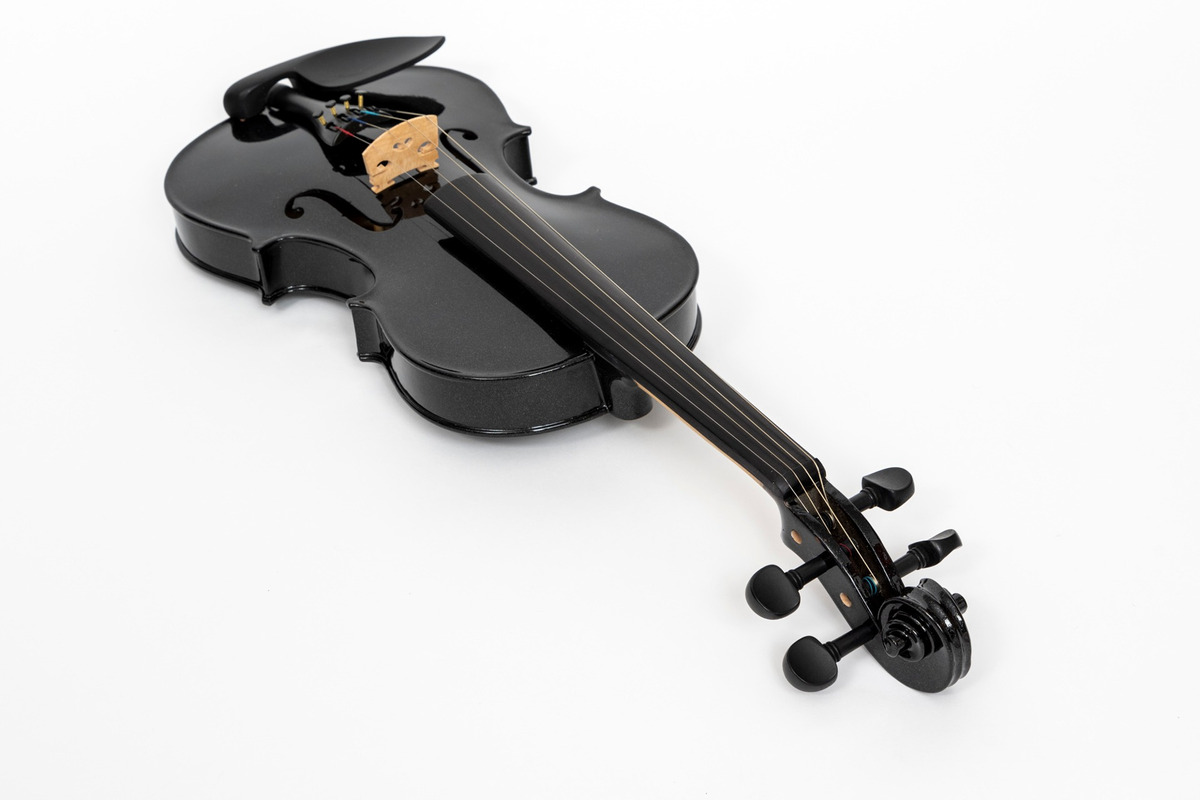 Violín Acústico Segovia Superior 4/4 Negro Macizo Arco - Music Shaker
