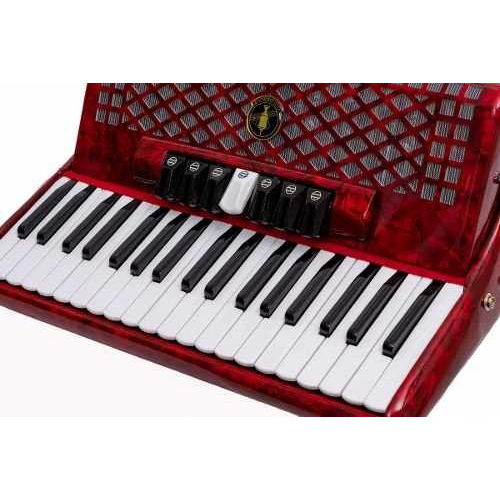 Acordeon Rojo + Estuche 96 Bajos 7+2 Reg Golden Cup Jh2017rd - Music Shaker